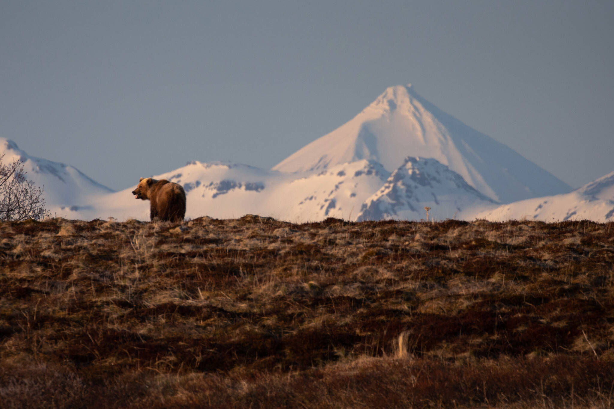 Trump nears deal for road through Alaskan wildlife refuge | Juneau Empire