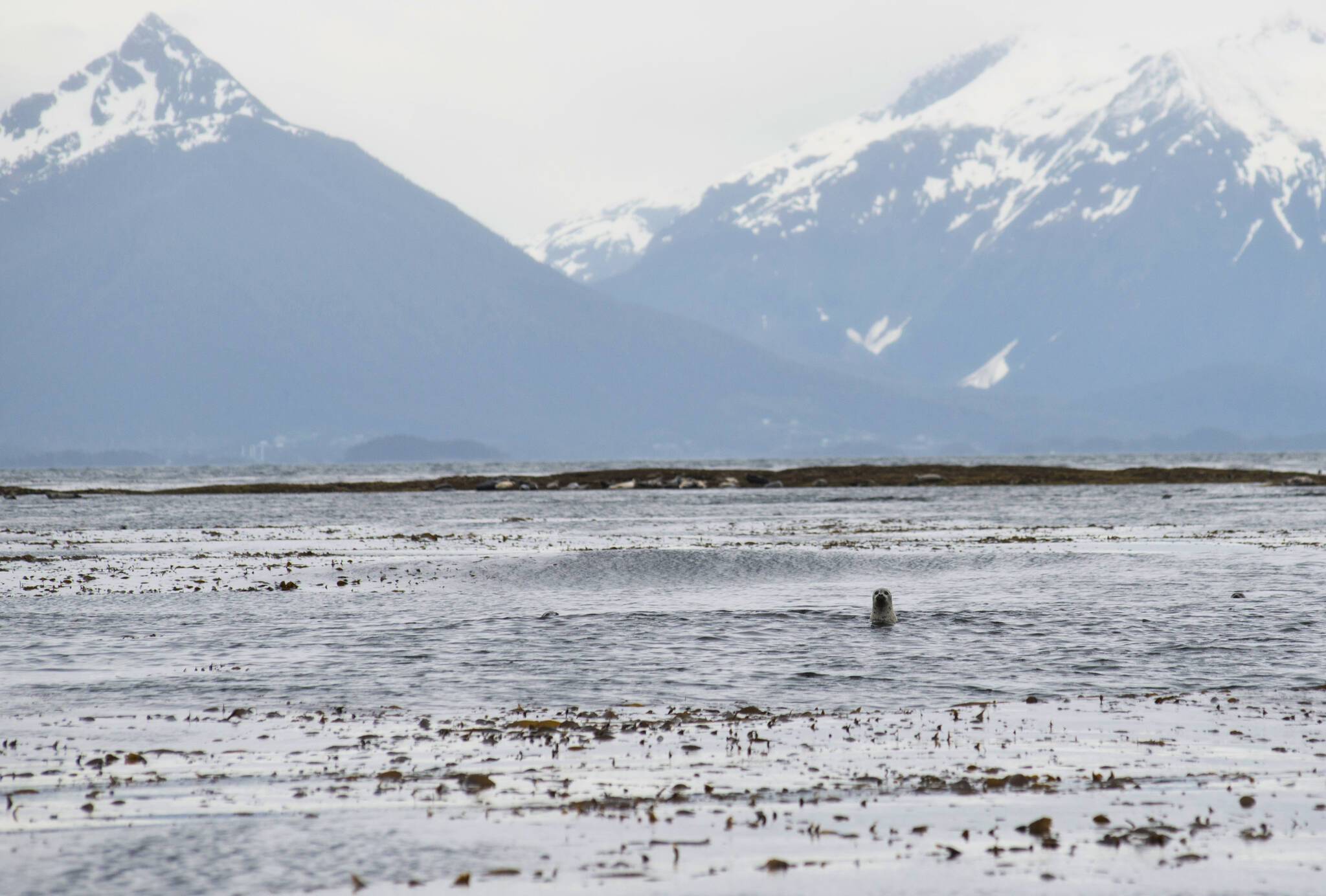 Body of captain recovered 11 days after five die in Sitka boat sinking ...