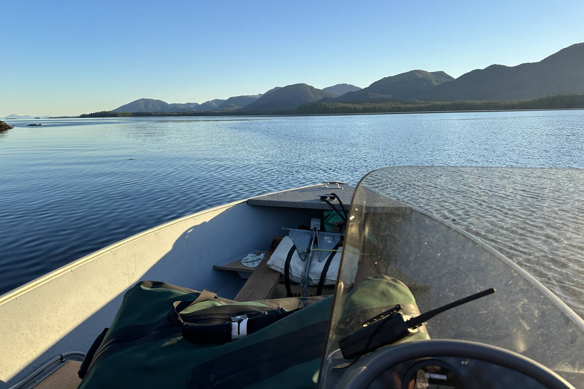 I Went to the Woods: Freedom of gratitude | Juneau Empire