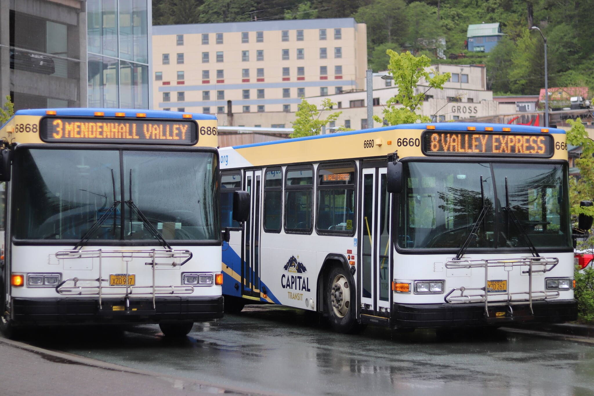 More service, visitor information helping Capital Transit to keep up ...