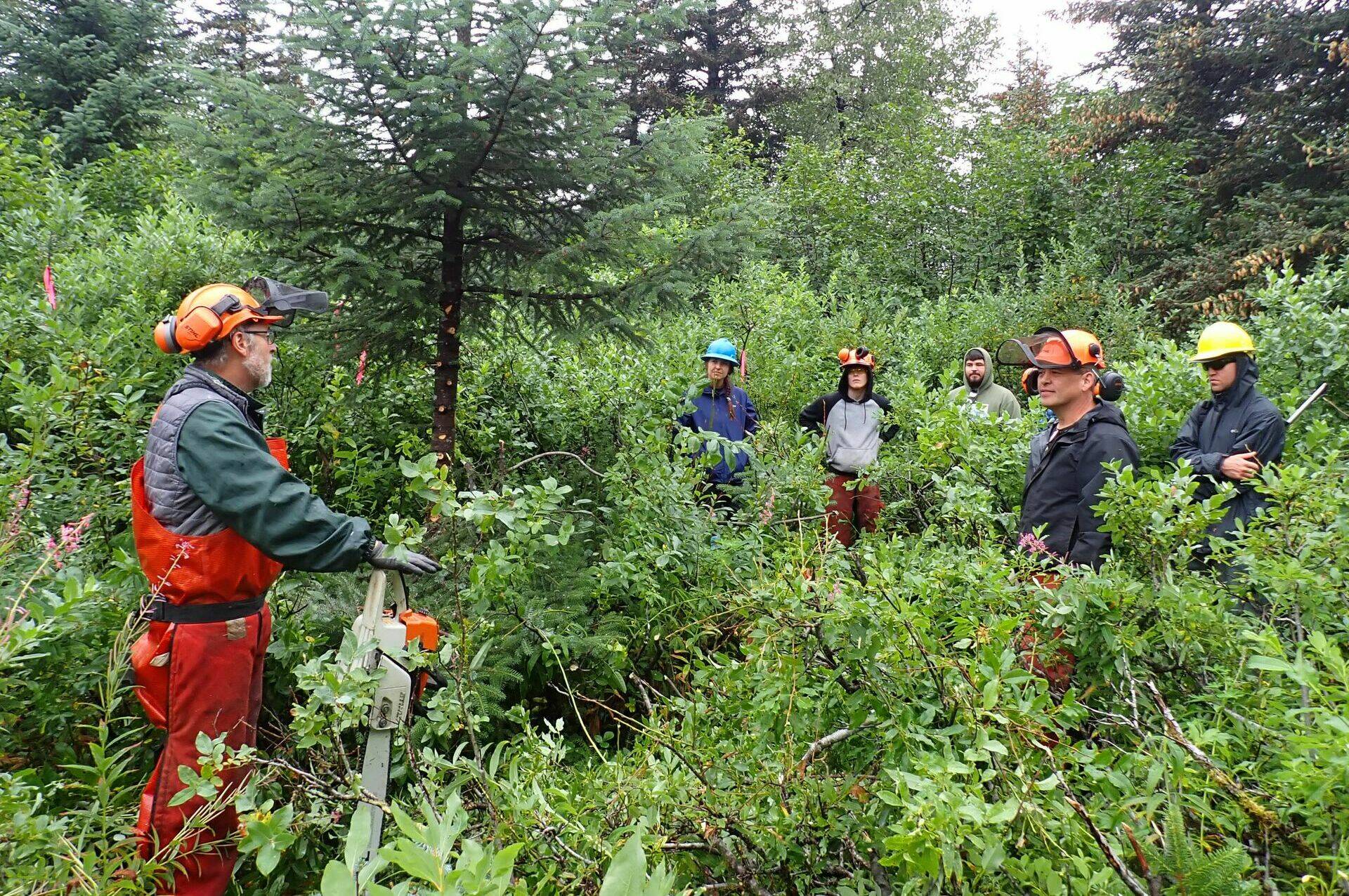 Tongass Forest Plan Revision draft released, starting clock on 45-day ...