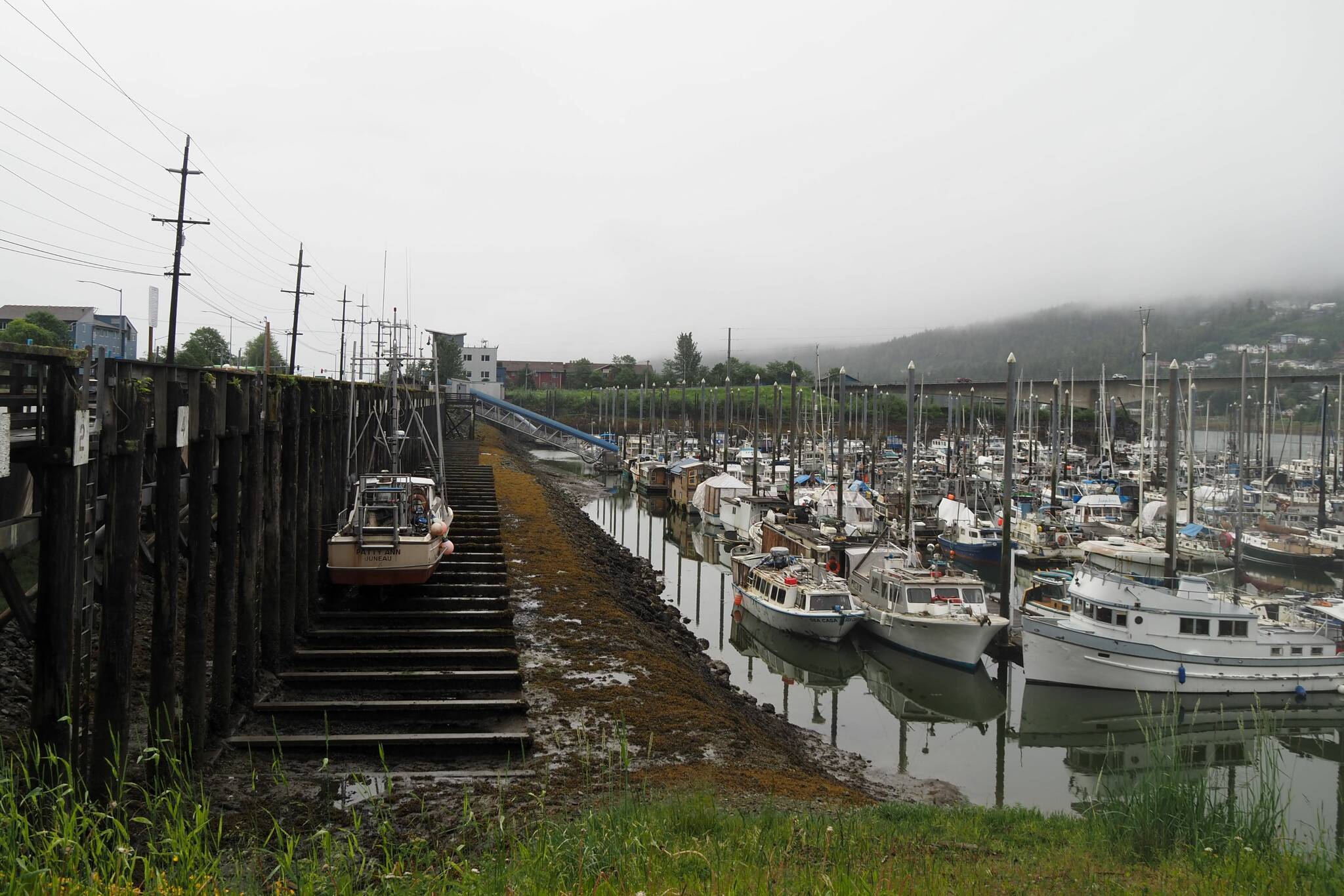 Longtime Juneauites appointed to city commissions | Juneau Empire