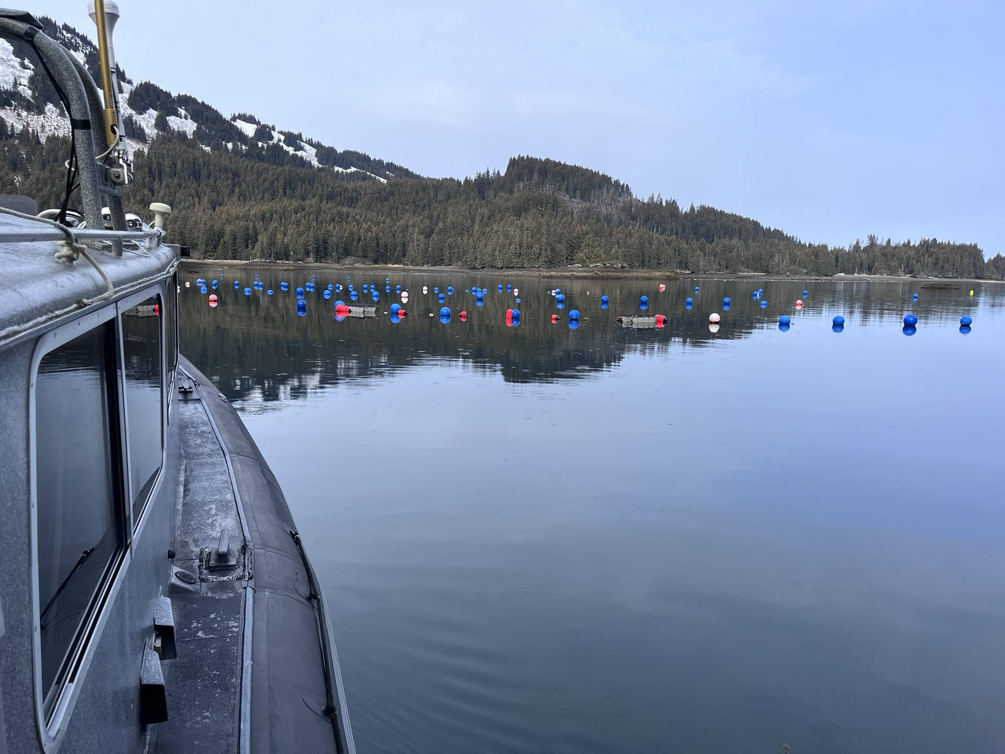 Alaska study sees mixed results on links between kelp farms and CO2 ...