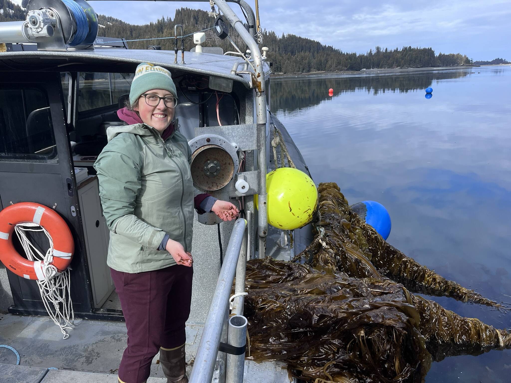 Alaska study sees mixed results on links between kelp farms and CO2 ...